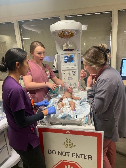 March 2024 Center for Simulation and Innovation Updates - NGMC GME